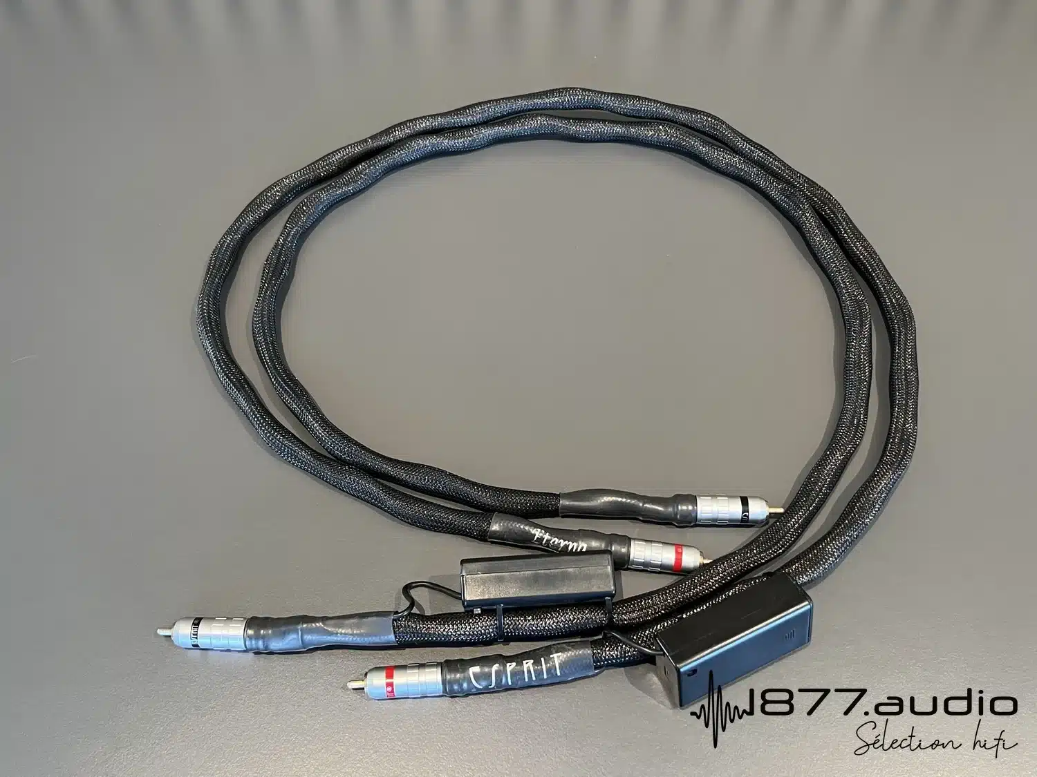 Câble audio modulation Esprit câble Eterna RCA 1,20m [HIFI OCCASION] - 711€